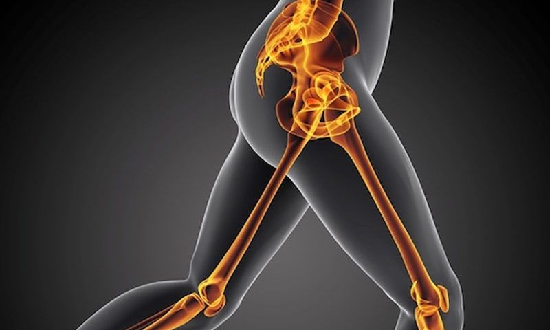 Hip Pathology Explained - Spinal Care - Sydney Consultant Chiropractor
